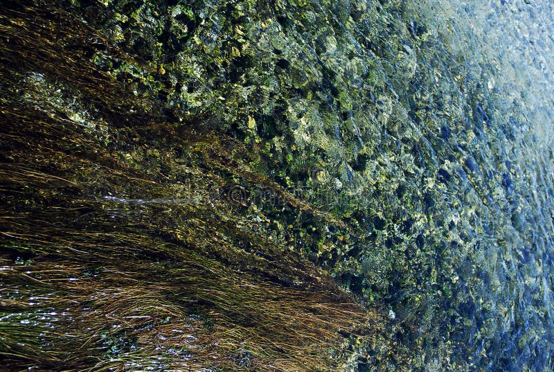 Green Cold Stream in the Cretan Sea Stock Photo - Image of colors ...