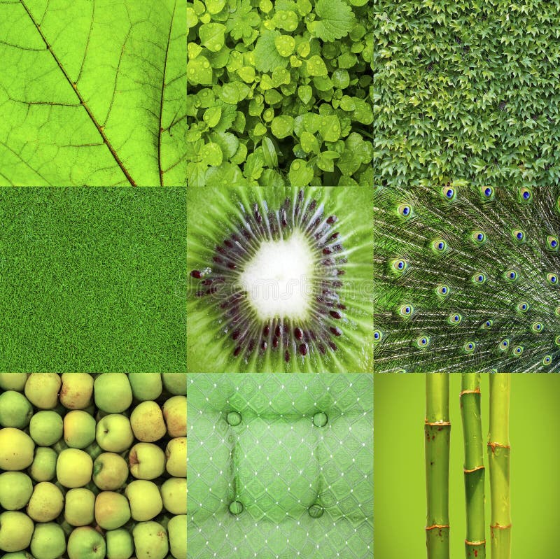Green collage stock photo. Image of greenish, green, flowers - 18219104