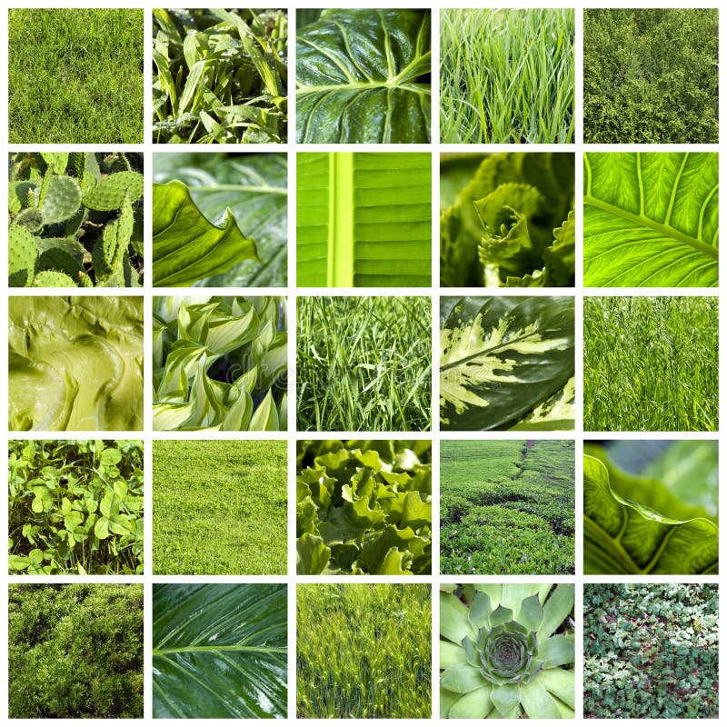 Green collage stock image. Image of abstract, environment - 19961411