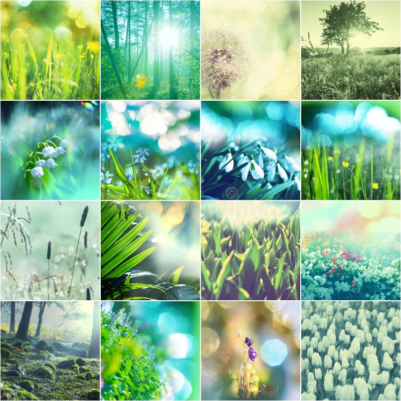 Green collage stock photo. Image of greenish, green, flowers - 18219104