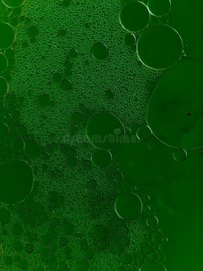 Muddy Green Color Pictures And Images - RGB Color Hex Code [#004000 - 90%]
