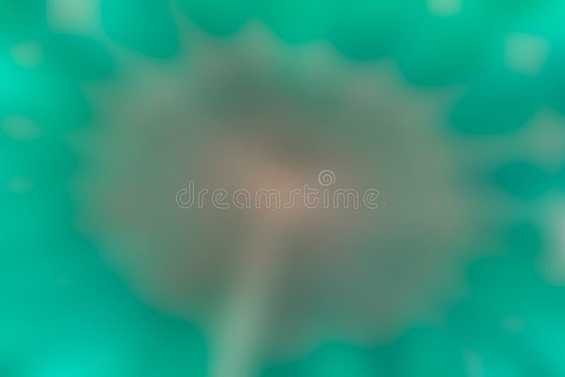 Green color blurry stock photo. Image of green, motion - 44817024
