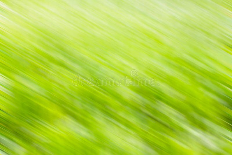 Green color blurry stock photo. Image of blurry, fantasy - 45063190