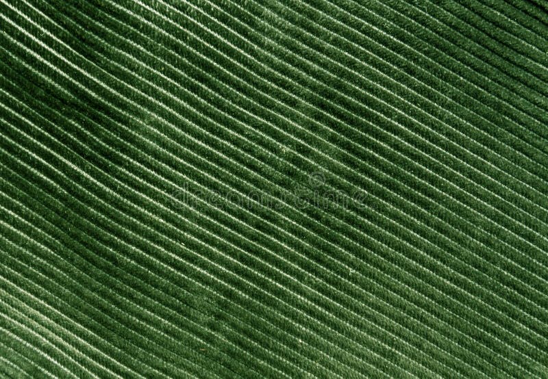 Green Color Cloth Texture with Pattern Stock Photo - Image of canvas ...