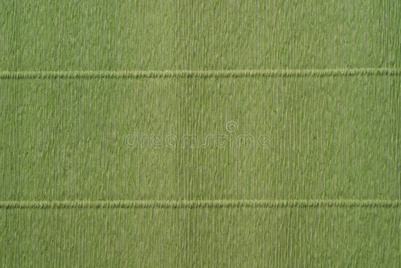 Green Crepe Paper Texture Background Stock Photo - Image of closeup ...