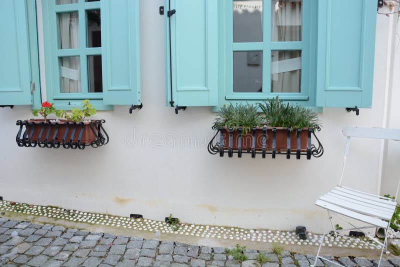 Green Color Flowers in Front of the Window Stock Image - Image of ...