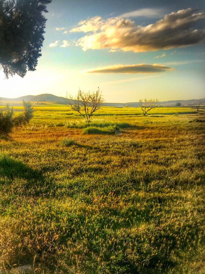 Great nature at sunset stock image. Image of planet, spring - 29761565