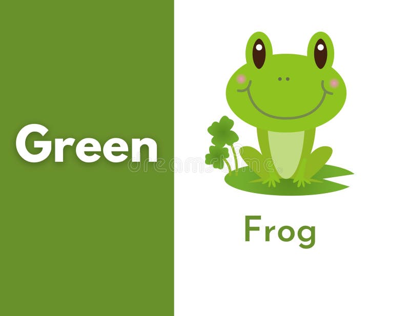 Green Color Picture with Example, Frog Green Color, Kids Learning - 1 ...