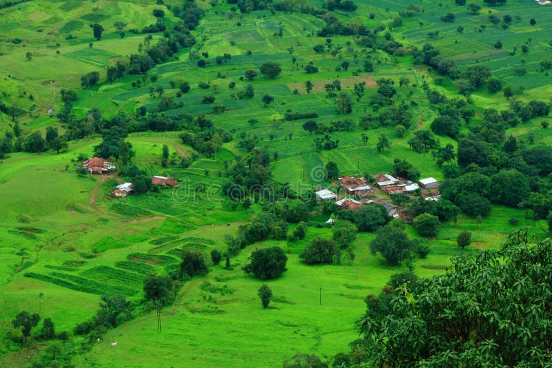 Green-the Color of Prosperity Stock Image - Image of prosperity ...