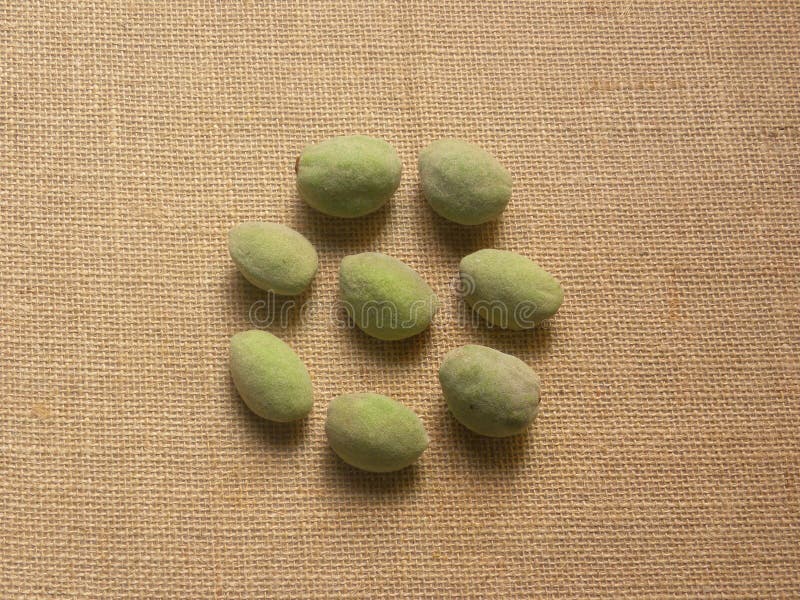 Green Color Unripe Almond Fruits on Tree Stock Photo - Image of unripe ...