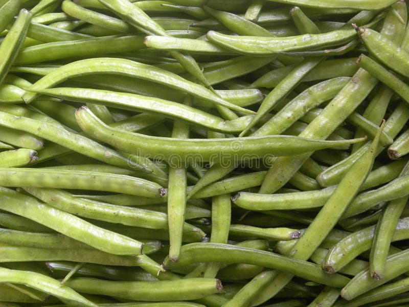 Guar stock photo. Image of cuisine, delicious, health - 168246616