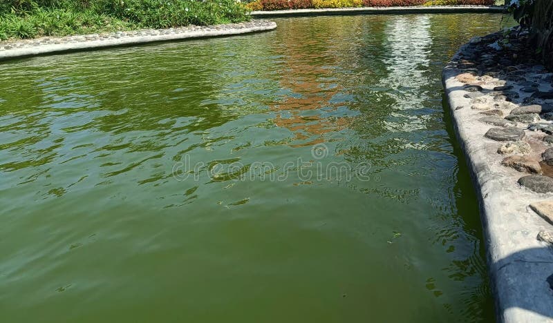 Green Color Water Channel in the Garden Stock Image - Image of water ...