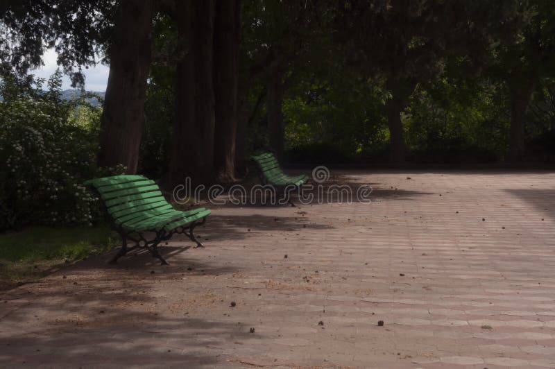 Green Colored Square Benches on a Background of Trees Stock Image ...