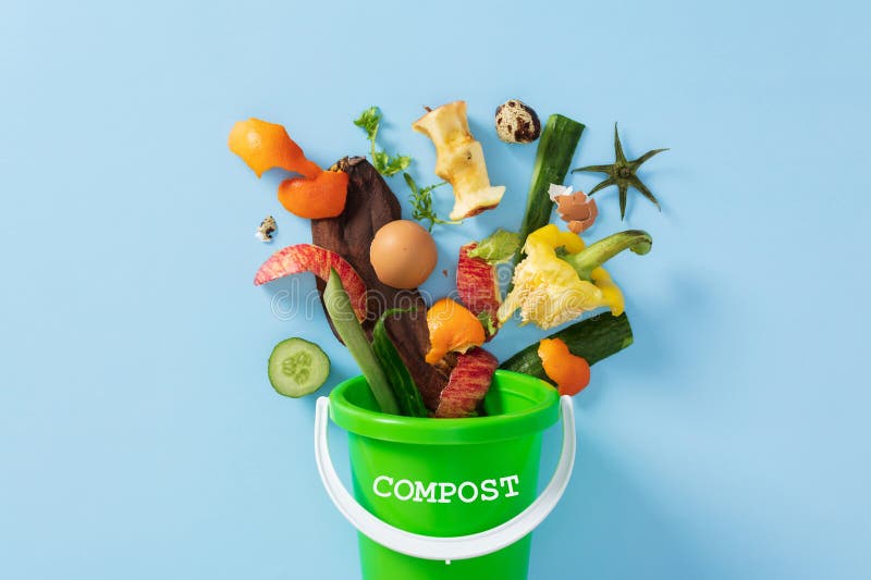 Green Compost Bin with Biodegradable Kitchen Waste. Flat Lay, Top View ...