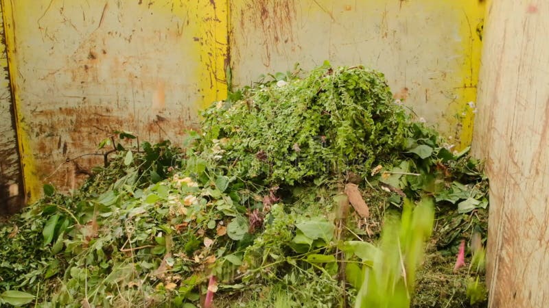 Green Compost. Tree Branches into a Metal Container.Vegetable Waste ...