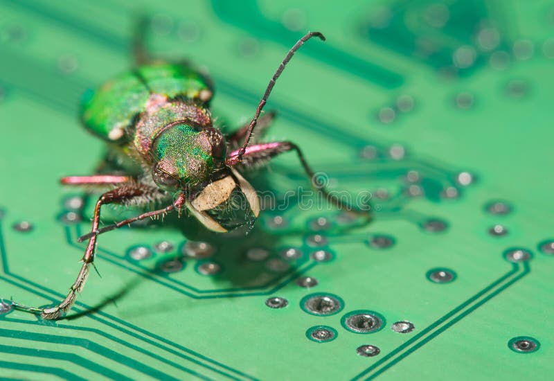 Green computer bug stock image. Image of mistake, failure - 26497211
