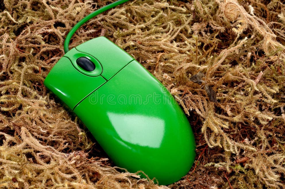 Green Computer Mouse on Moss Stock Photo - Image of computing, moss ...