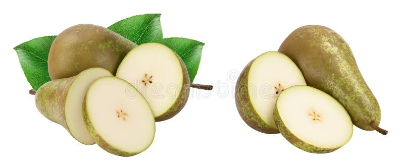 Green Conference Pear Isolated on White Background with Full Depth of ...