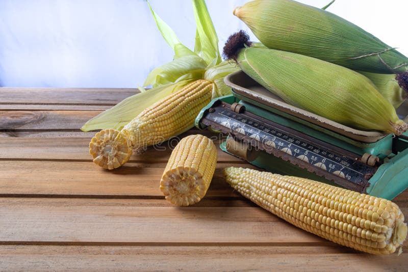 Green Corn Arranged on a Wooden Table and a Scale. Selective Focus ...