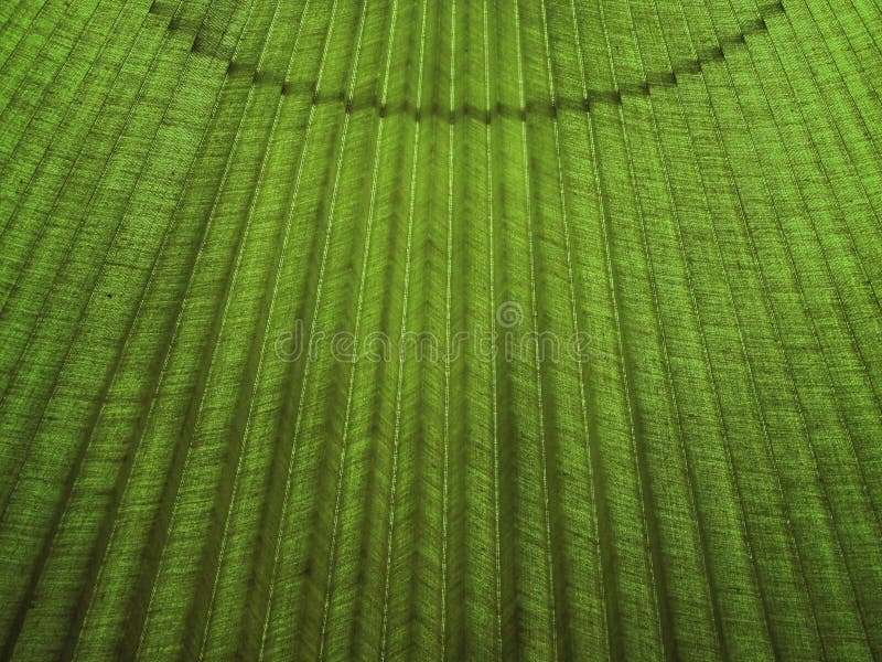 Green Corrugated Fabric Texture.Background. Stock Photo - Image of ...