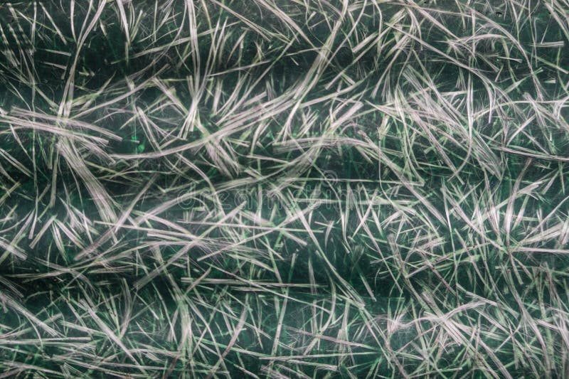 2,068 Corrugated Plastic Texture Stock Photos - Free & Royalty-Free ...