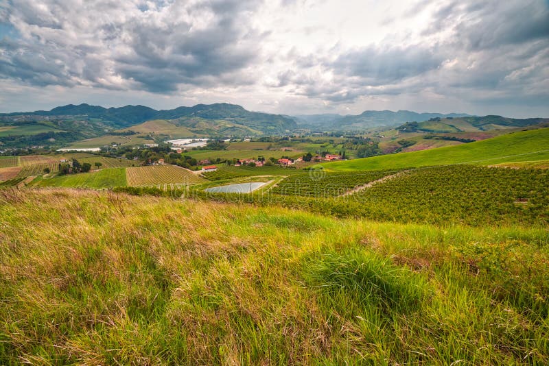 Green countryside hills stock photo. Image of romagna - 104565716