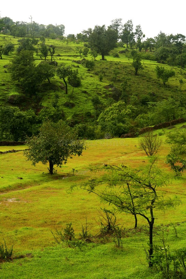 Green Countryside Landscape Stock Image - Image of natural, scenery ...