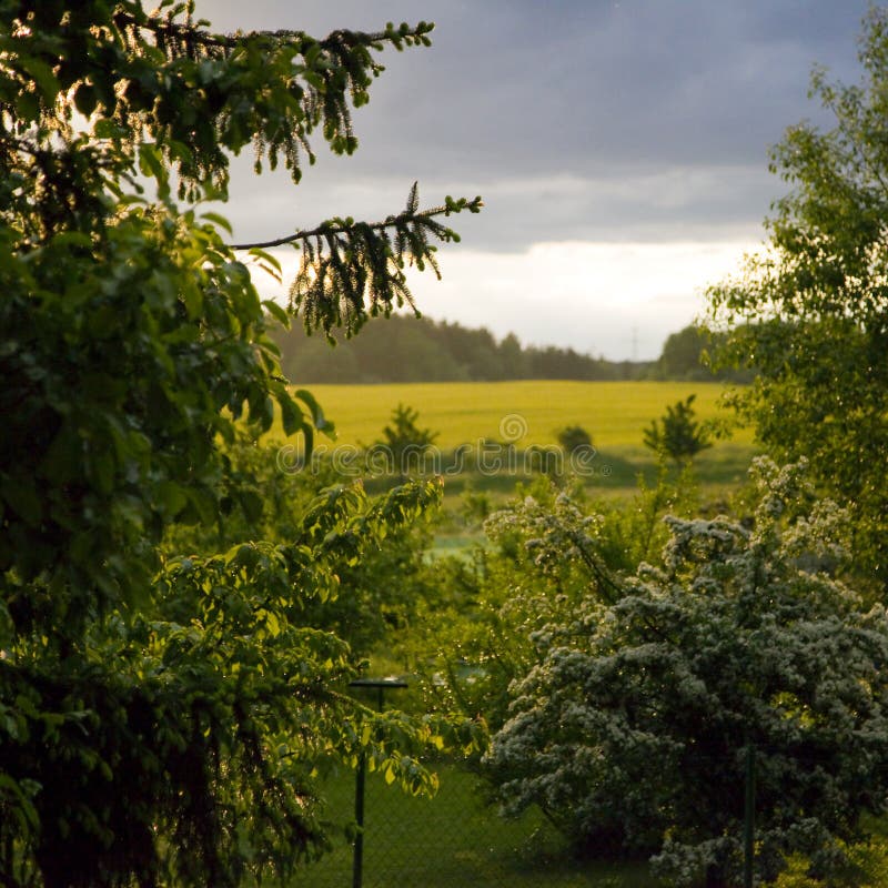 Green Countryside Landscape Stock Image - Image of plants, vegetation ...