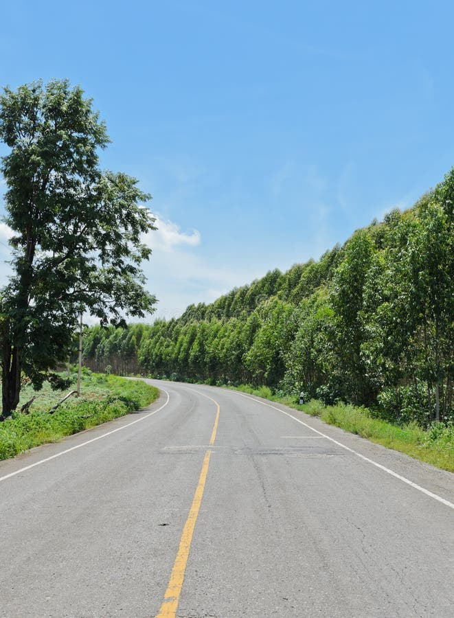 Green countryside road stock photo. Image of nature, environment - 32929766