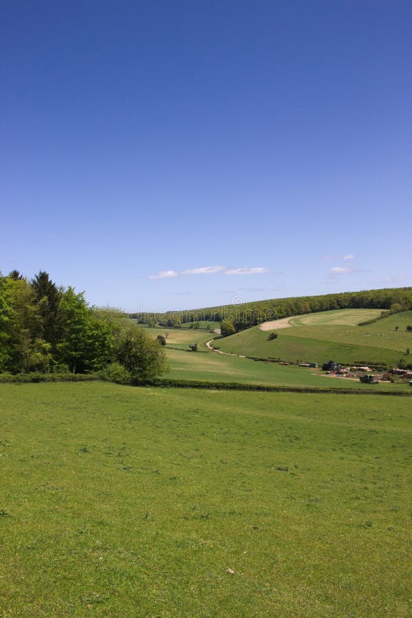Green Countryside stock photo. Image of fields, filling - 54499224