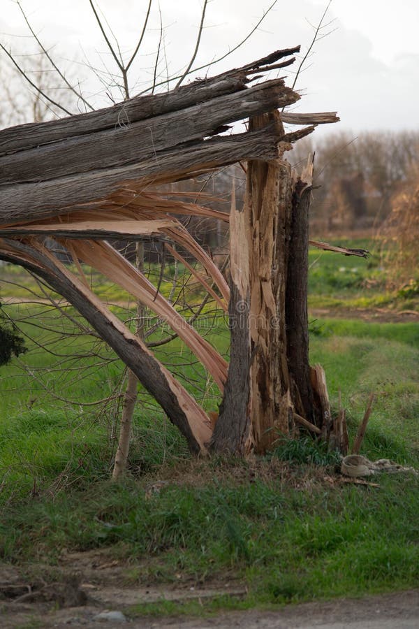 Half Transmits Stock Photos - Free & Royalty-Free Stock Photos from ...