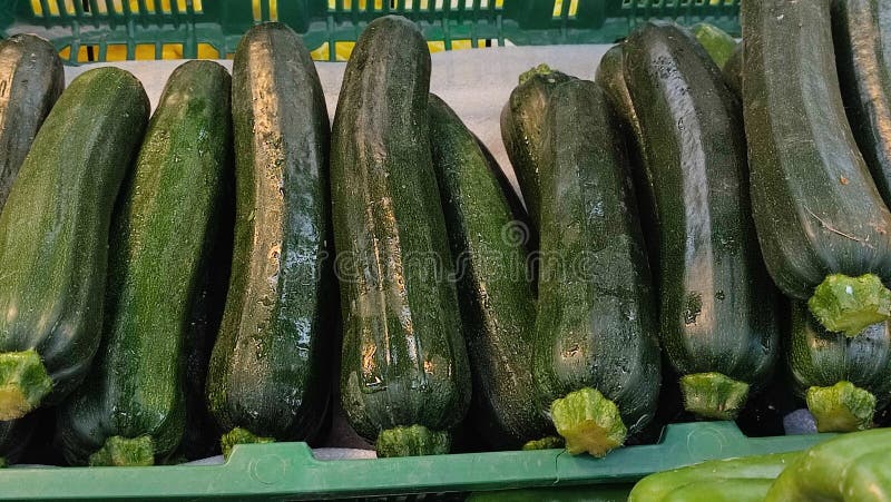 Green Courgettes are Fresh and Big Stock Image - Image of fresh ...