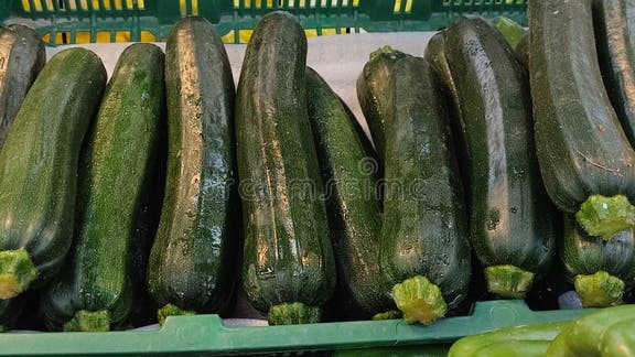Green Courgettes are Fresh and Big Stock Image - Image of fresh ...