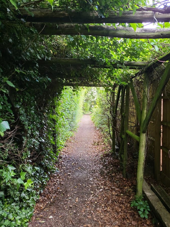 The Green Covered Pathway stock photo. Image of wood - 249247322