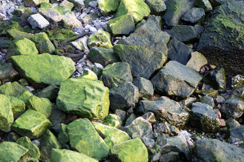 Green Rocks stock photo. Image of laying, camera, beautiful - 104964202