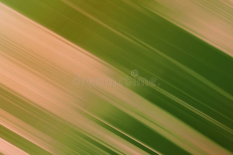 Green and Cream Colored Soft Motion Slice Abstract Background and ...