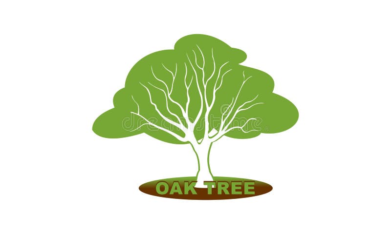Green Creative Oak Tree Logo Design Symbol Illustration Stock Vector ...