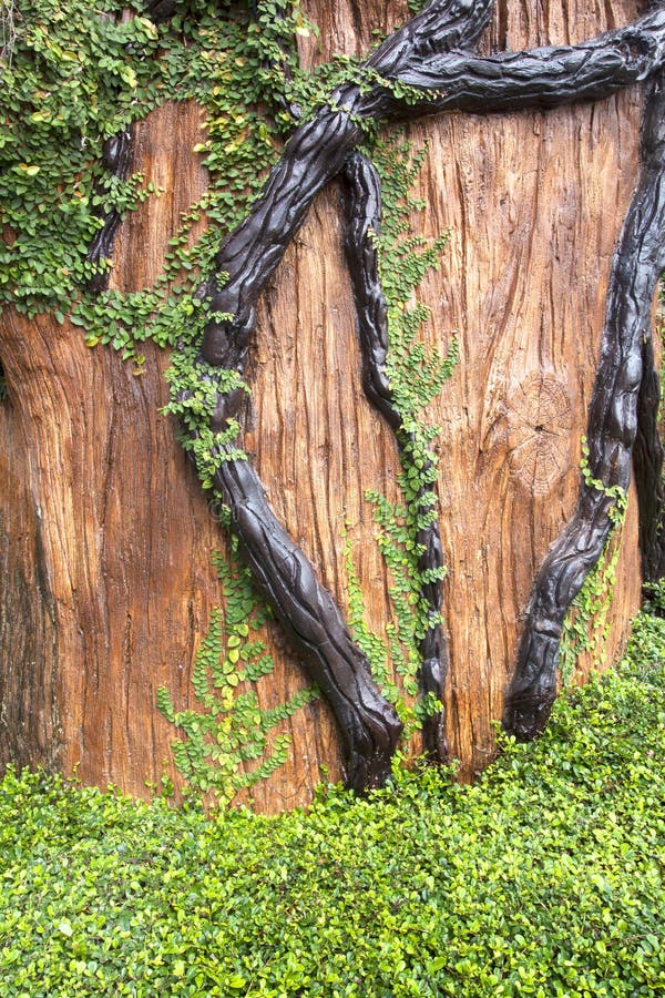 Green Creeper stock photo. Image of house, bush, park - 34843300