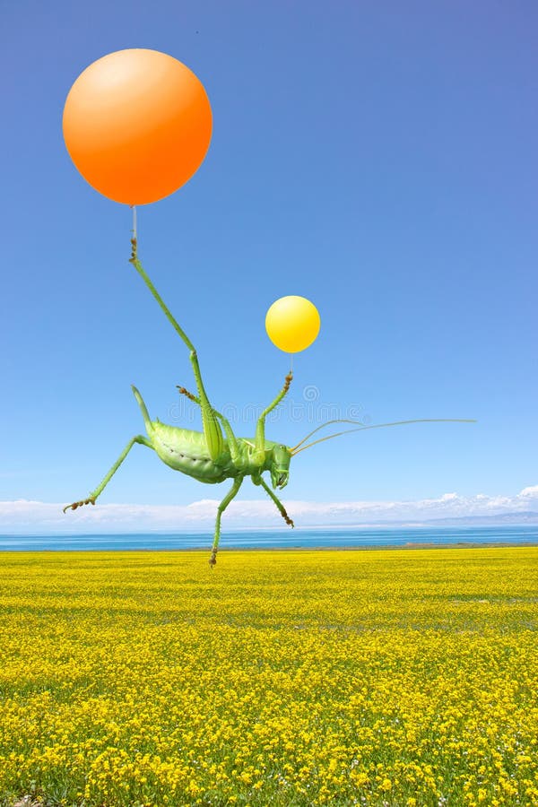 3+ Airballoon Free Stock Photos - StockFreeImages