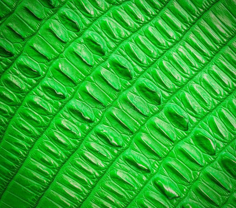 1,109 Green Crocodile Skin Texture Photos - Free & Royalty-Free Stock ...
