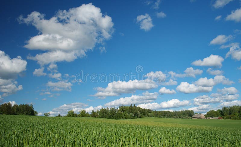 Green Crop Field and Clouds in Sky Stock Photo - Image of cloud, clouds ...