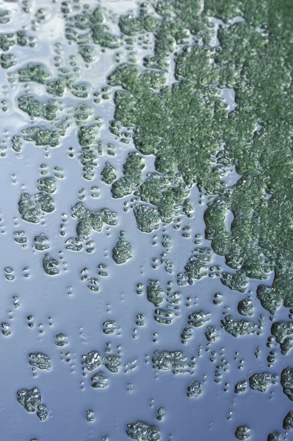 Green crystals of sea salt stock photo. Image of aroma - 9921416