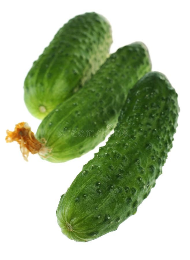 Green cucumber stock image. Image of crop, cane, ripe - 59236261