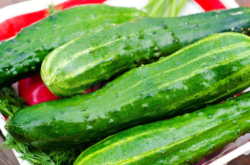 Green cucumbers stock image. Image of green, healthy - 41127139
