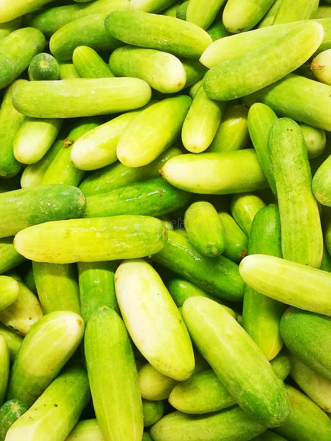 Green, Cucumbers, On Shelf, Supermarket Stock Photo - Image of fresh ...