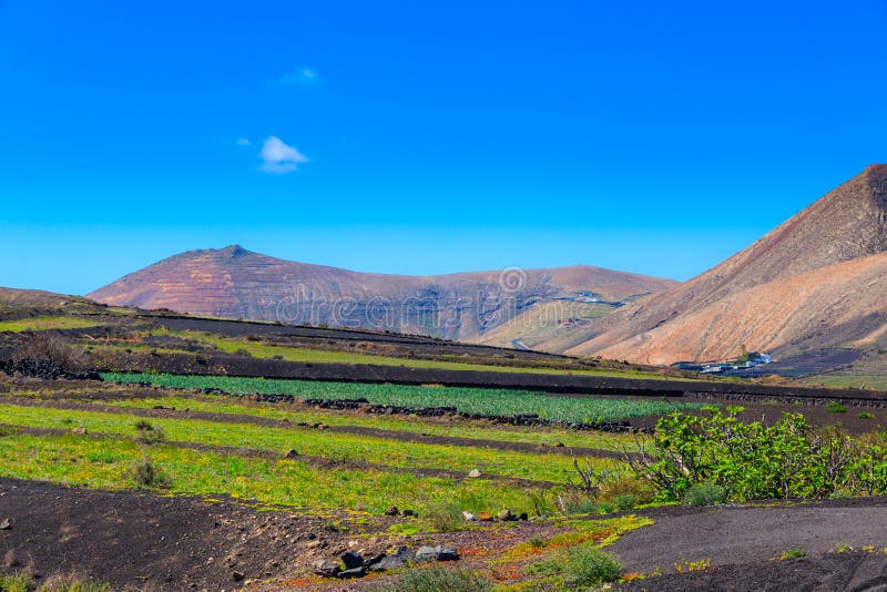 Cultivated Landscape, Colca Canyon Stock Photo - Image of arequipa ...