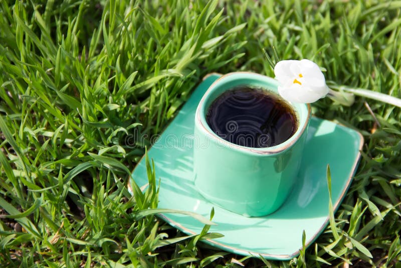 Green Cup with Coffee on a Saucer in the Grass and White Crocus Stock ...