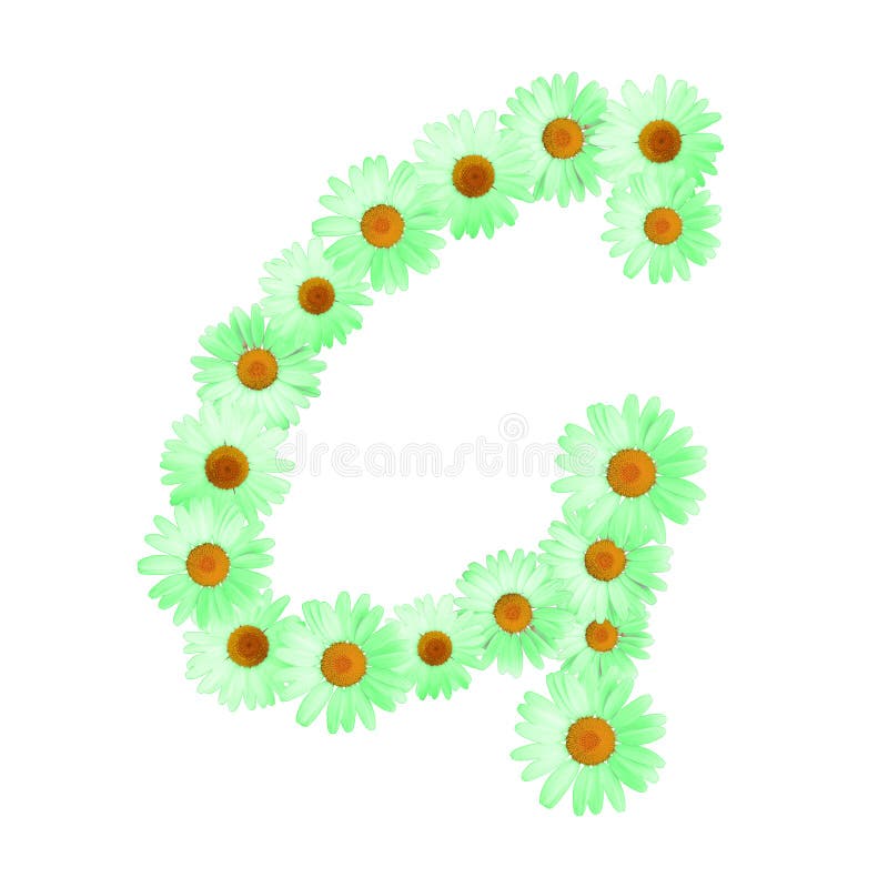Green Daisy Letter G stock illustration. Illustration of daisy - 85439771