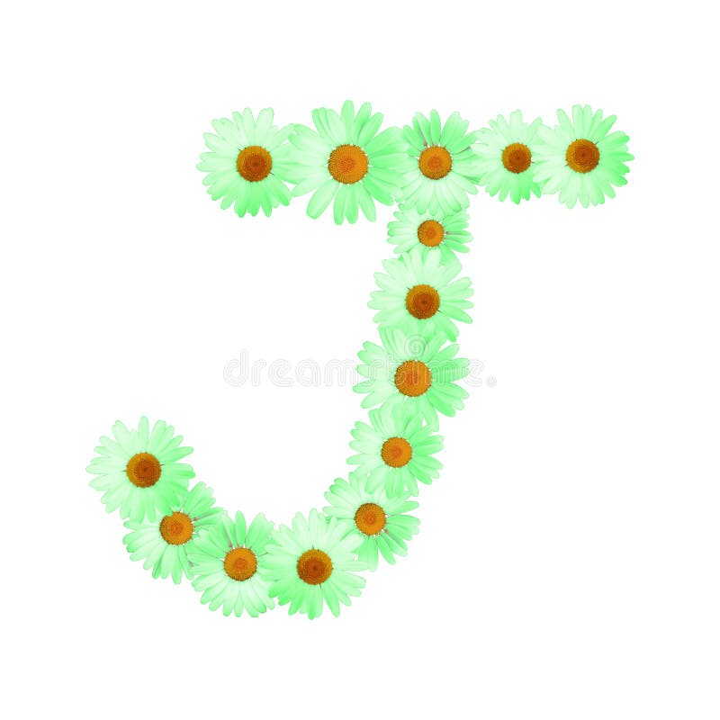 Green Daisy Letter J Stock Illustrations – 20 Green Daisy Letter J ...