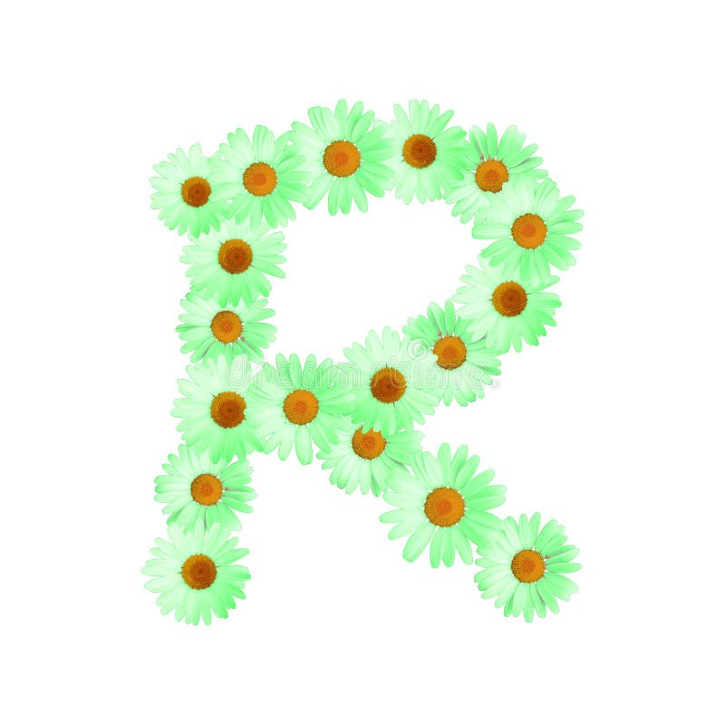 Green Daisy Letter R Stock Illustrations – 20 Green Daisy Letter R ...